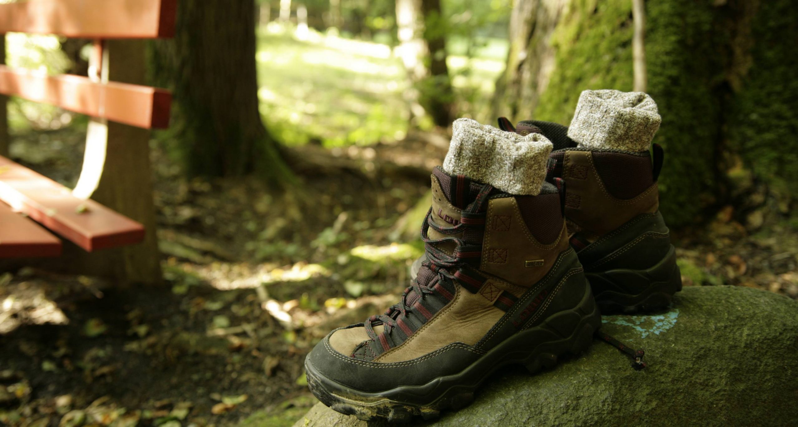 Idyllische Wandertage Extra - Biohotel Forellenhof